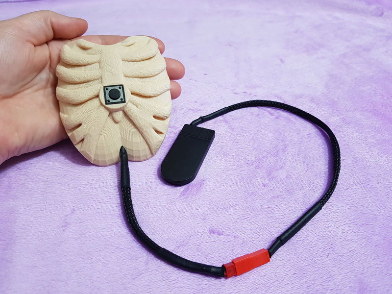 Beating Heart Chest Plate – Still Moments Nursery